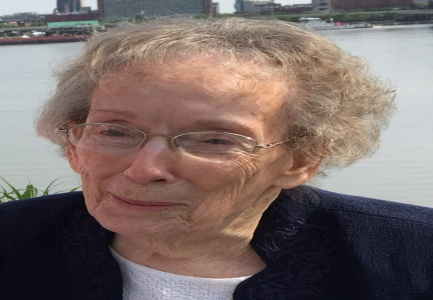 Briles Information Network